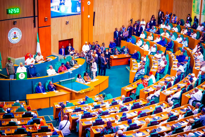 Resumption of Plenary, House of Reps, Tuesday, May 6th, 2025 – LightRay ...